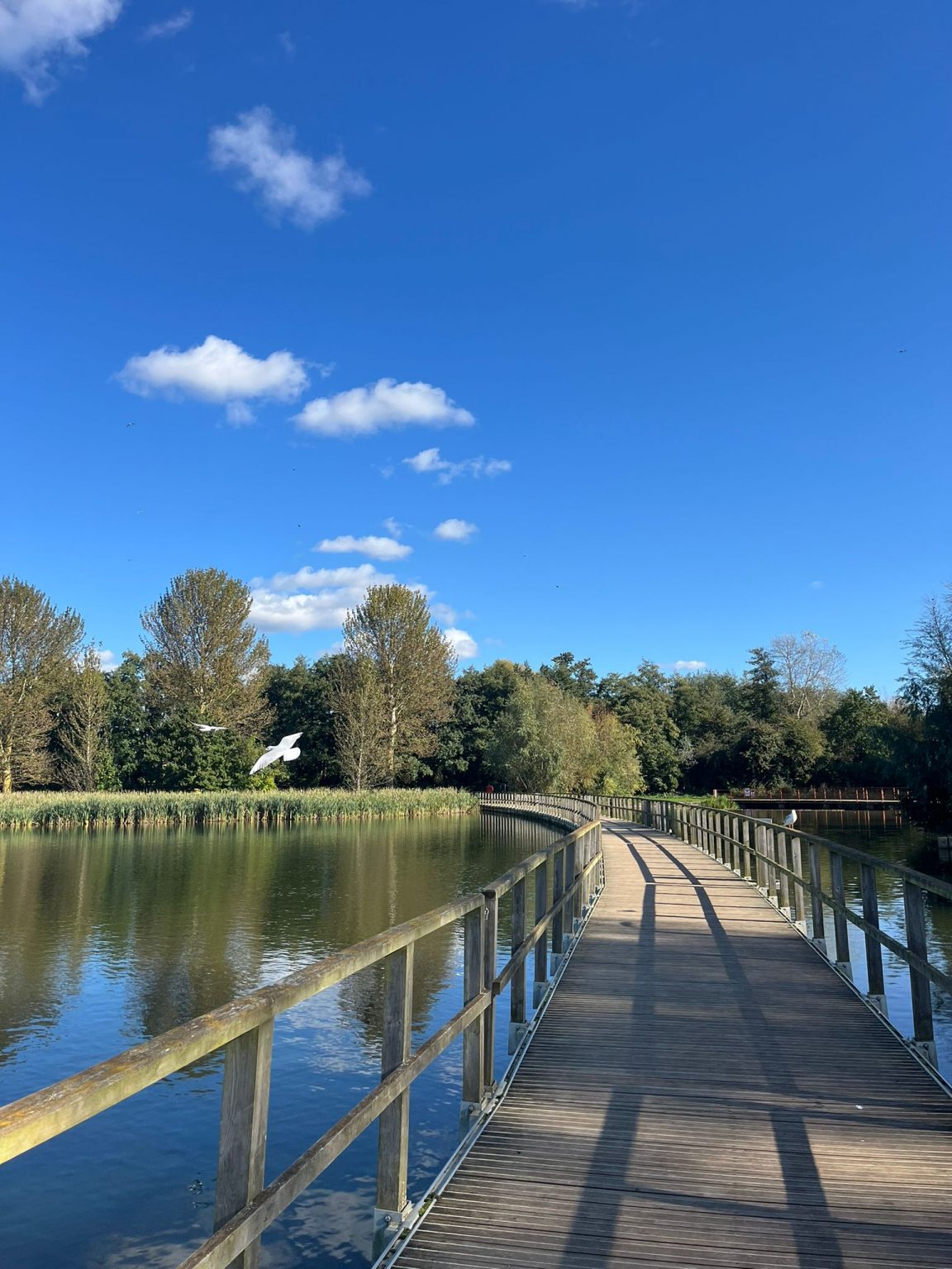 RE:Start « Youth Works Northamptonshire